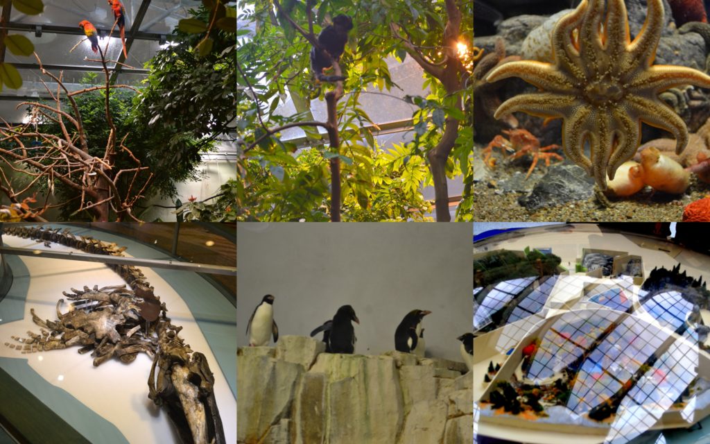 Espace pour la vie: Biodôme Montreal – At Home With Joanna